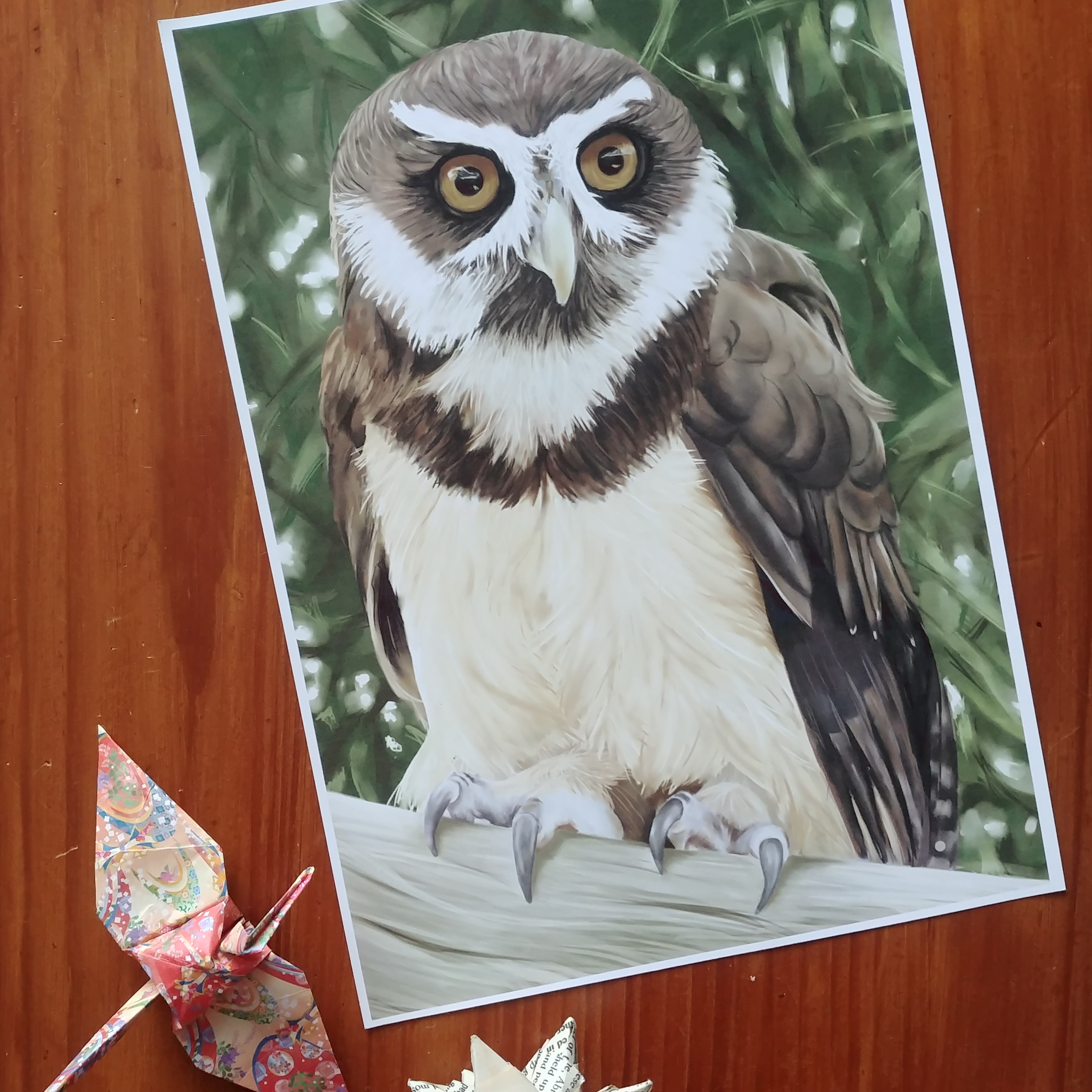 Artwork – Caroline Ashley